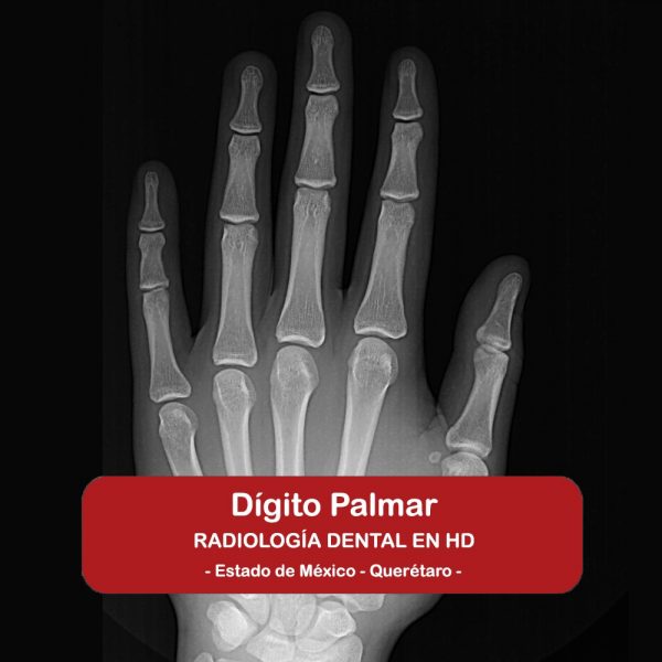 Orthodiagnóstico – Imagenología Dental y Estudios para Ortodoncia
